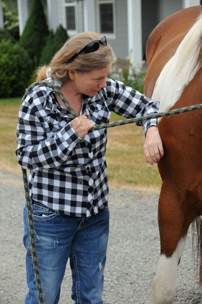 Felisa Holmberg | Equine-Rolfing-2-web