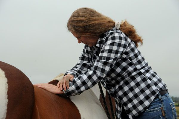 Felisa Holmberg | Equine-Rolfing-8-web